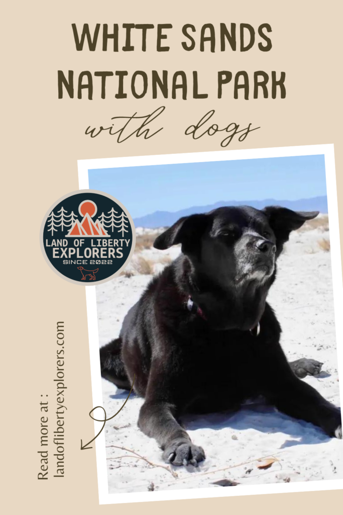 Land of Liberty Explorers